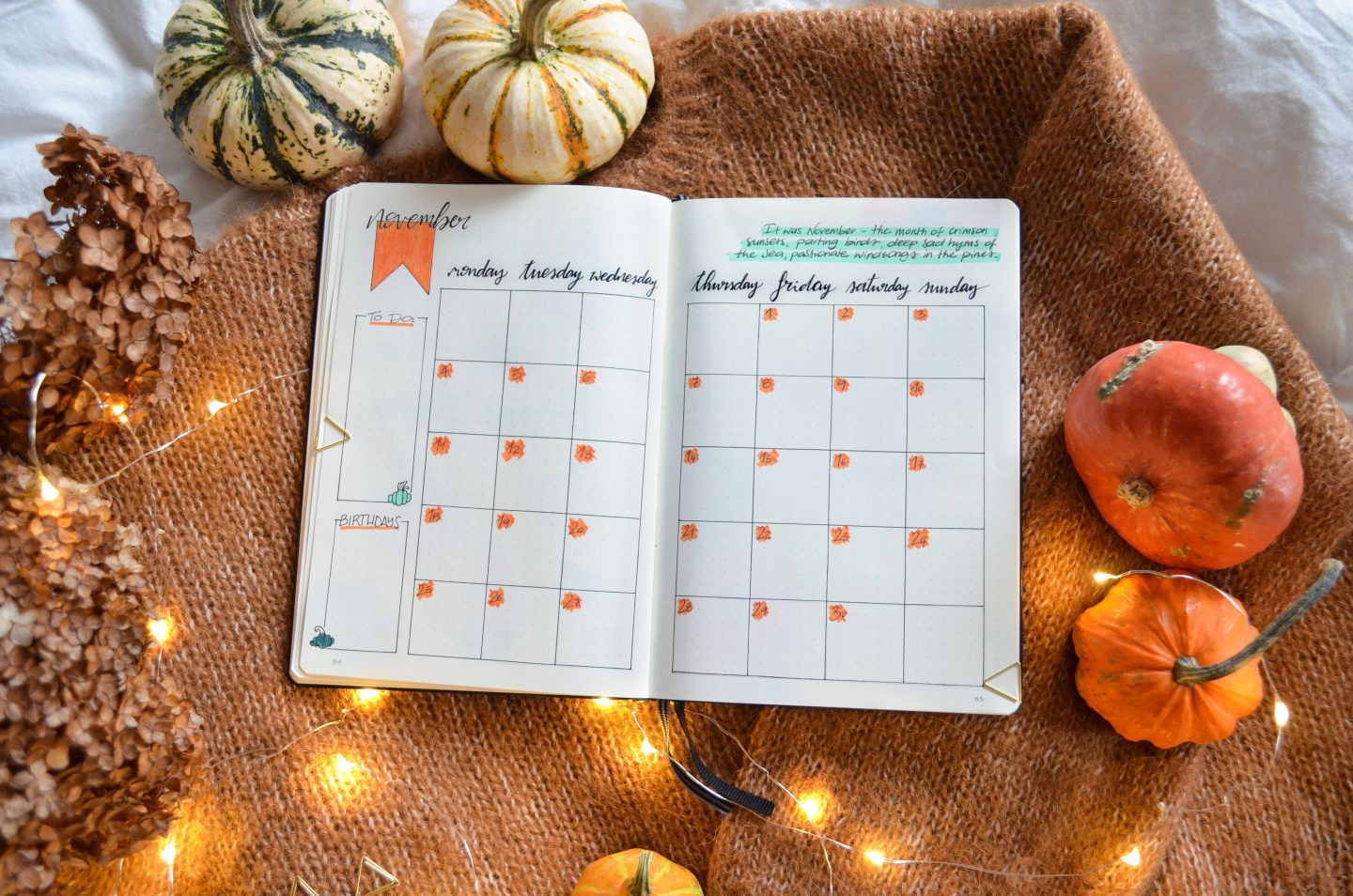 November Bullet Journal: Pumpkin Bujo Setup • Elena's Edit